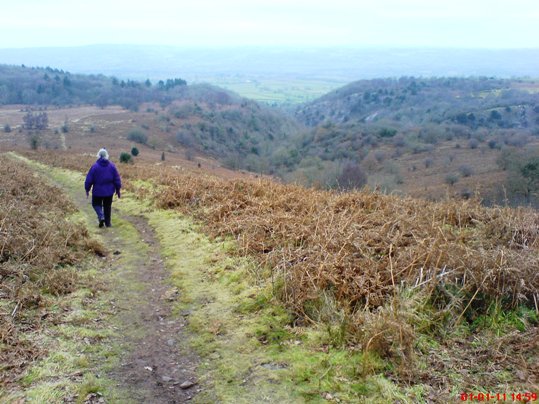 Wading Through Treacle: Somerset walks