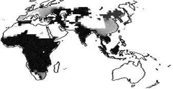 Out of Africa and into America - H. erectus | Patagonian monsters