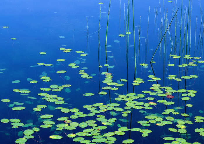 Beautiful Photos Of Blue Nature