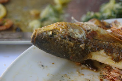 DESDE LA POPA: 09-07.- THE SHIST FISH CACA (Delicioso pez mierda)