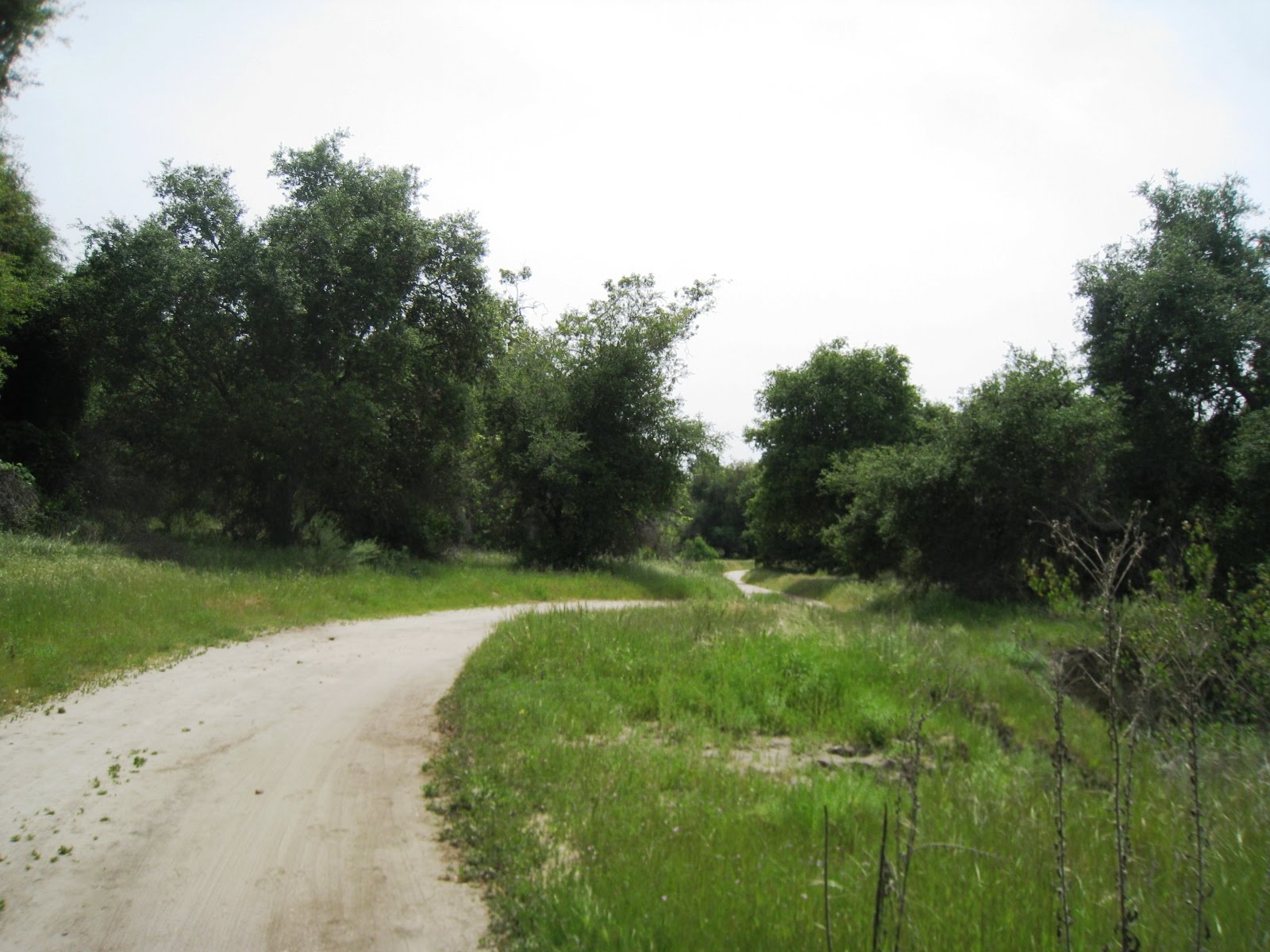 Whiting Ranch Wilderness Park (Portola Parkway Trailhead)