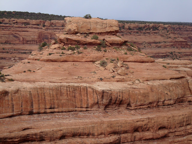 BEARS EARS: CITADEL RUINS