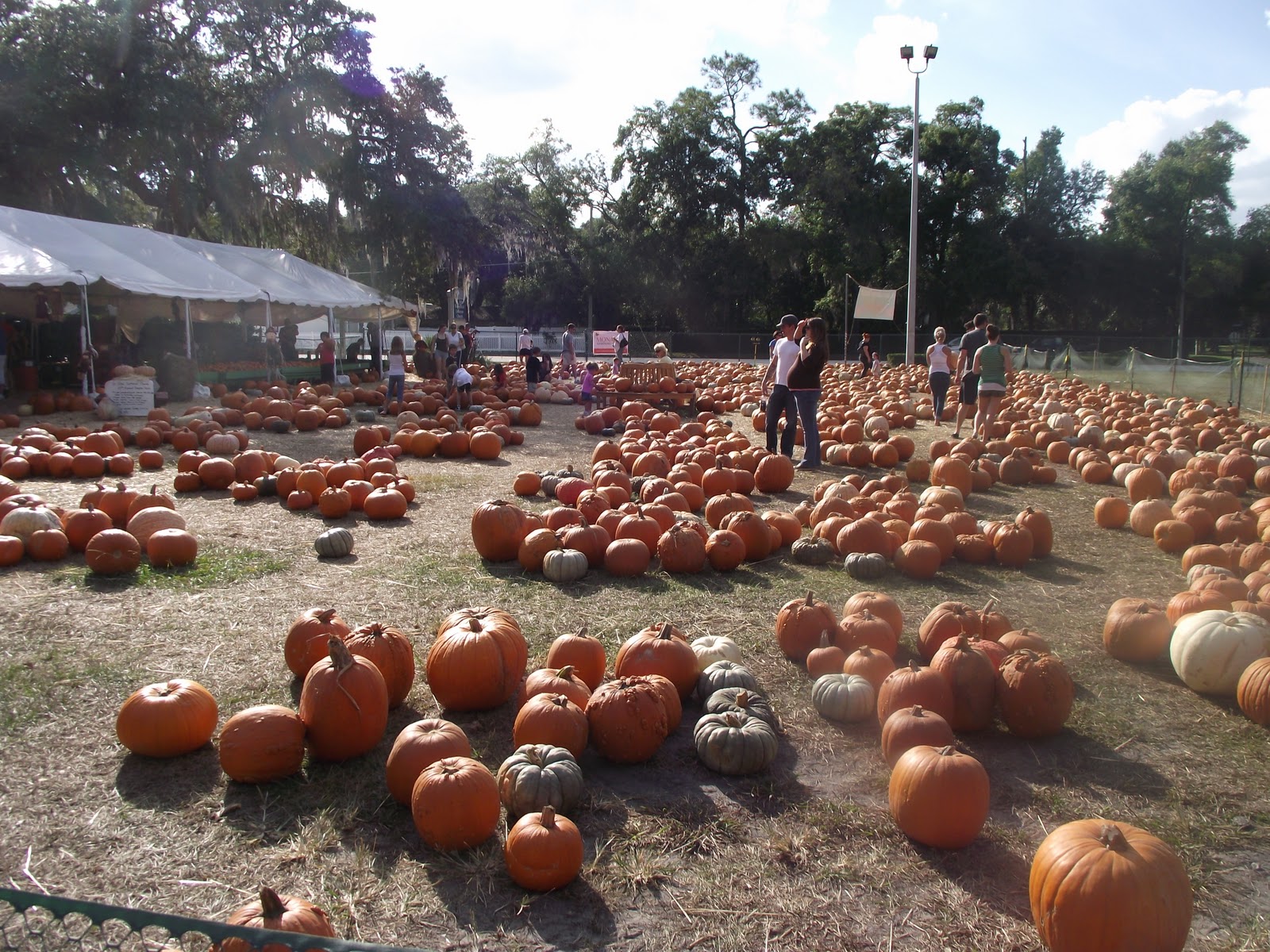 Machine Wash Warm: October 2010