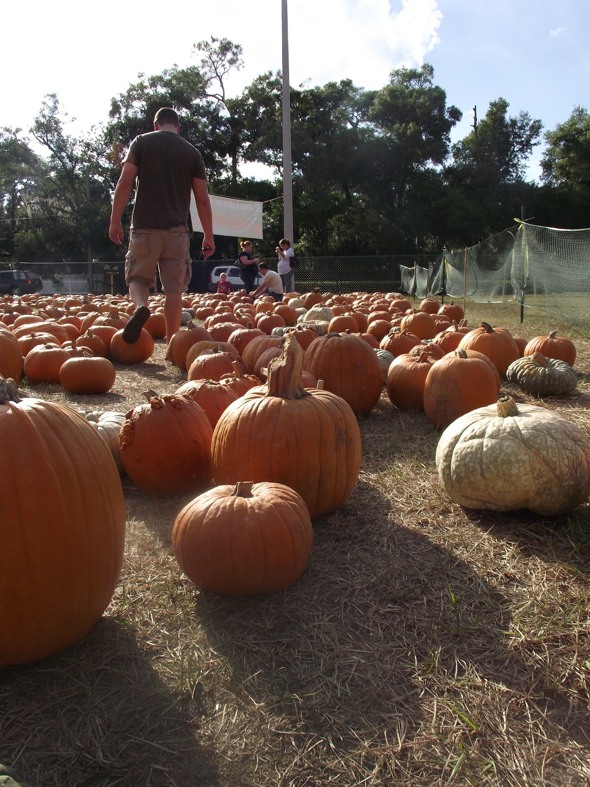 Machine Wash Warm: October 2010