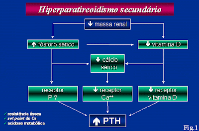 Histologia Do Hiperparatireoidismo Primario SciELO Brasil Cirurgia