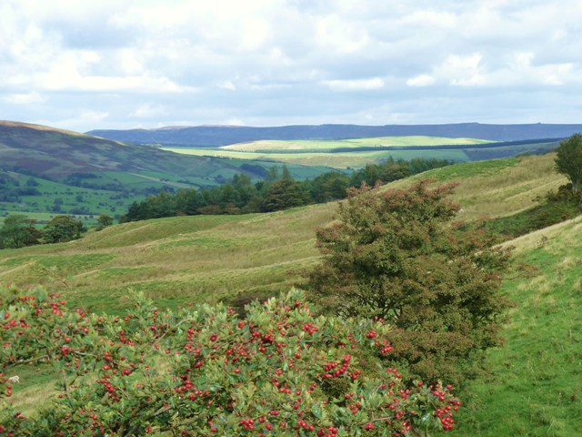 Travels with Shep: A Peek at the Peak District