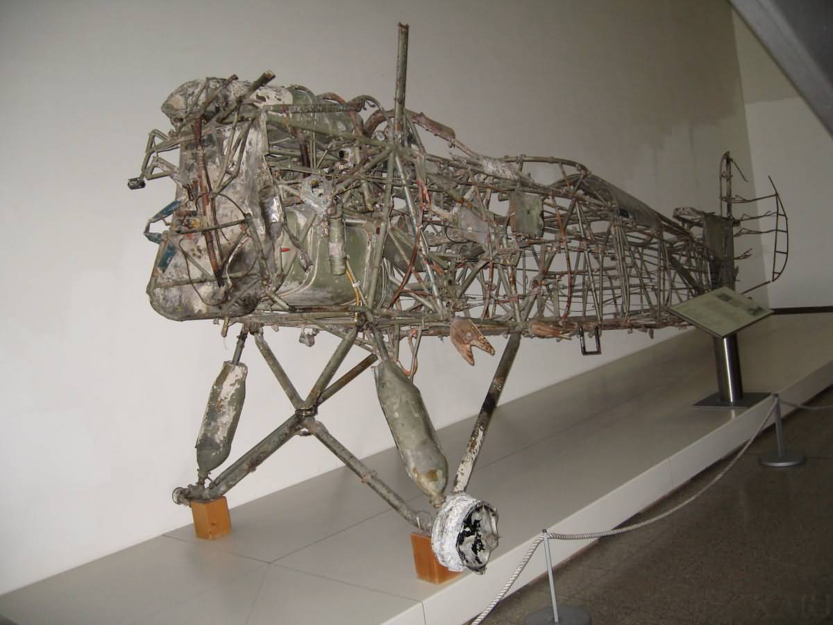 worldwild discovery: How Was the First Airplane Made?