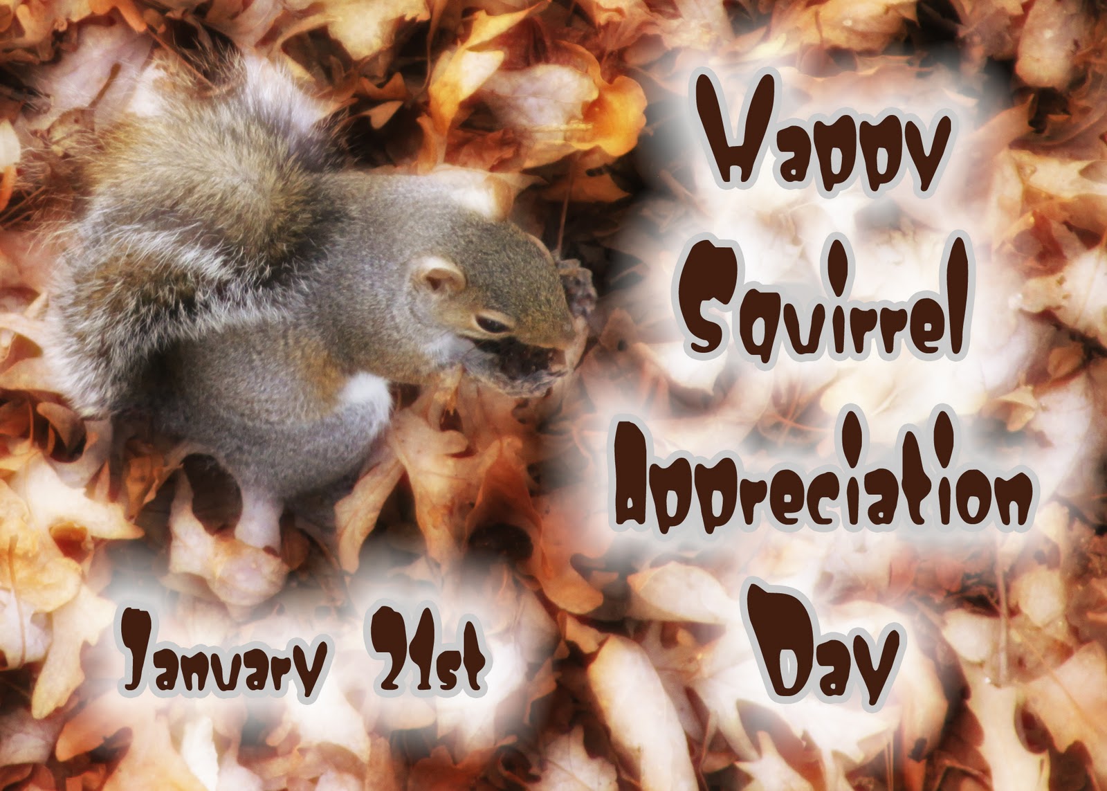 Every Day's a Holiday: Go Nuts! It's Squirrel Appreciation Day ~ January 21