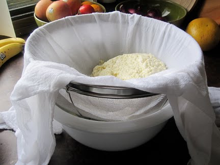 Artistta: Homemade Raw Milk Farmer Cheese - Tradition with Cooking