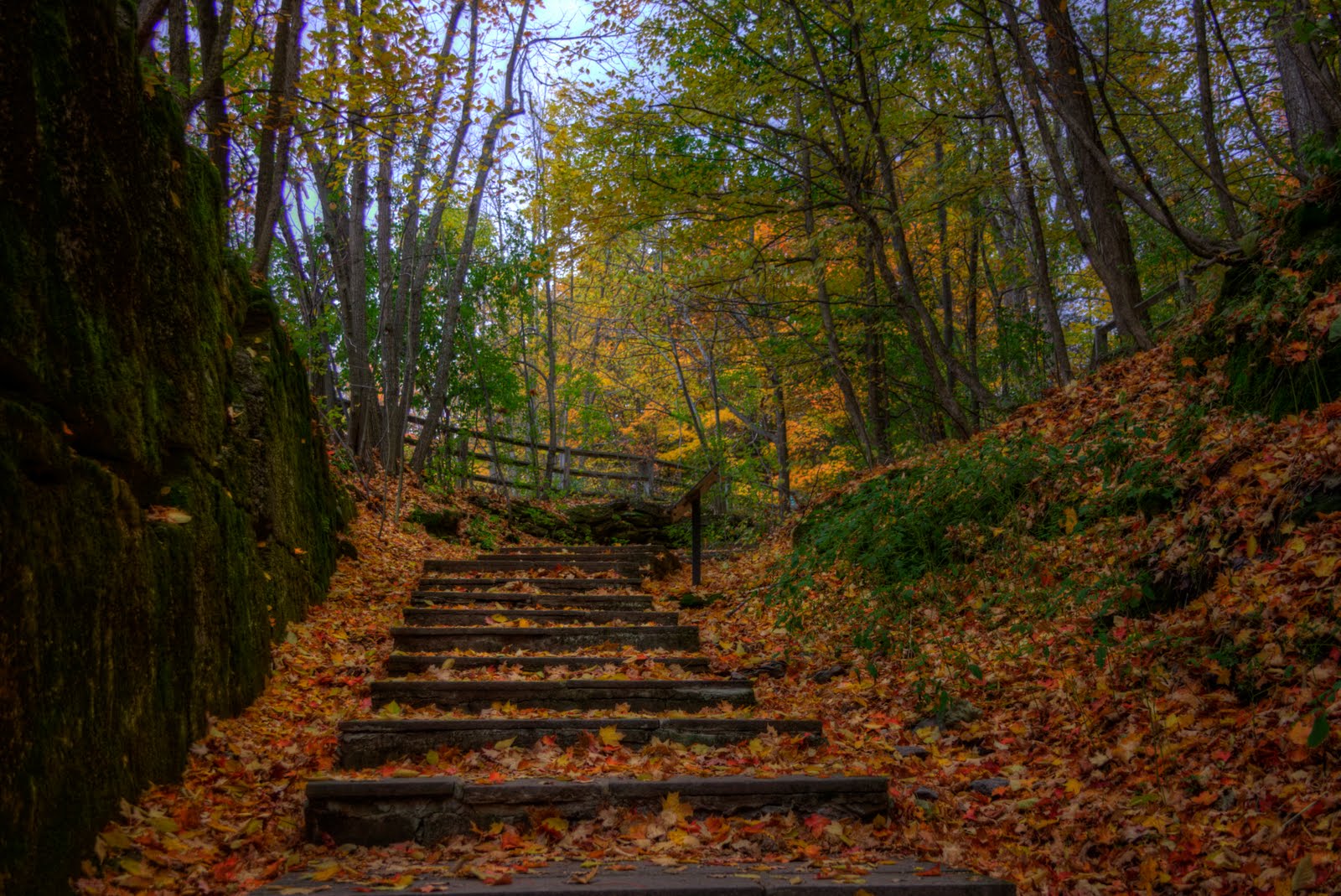 A Day In the Life Of: Thacher Park - Indian Ladder Trails, Albany, NY