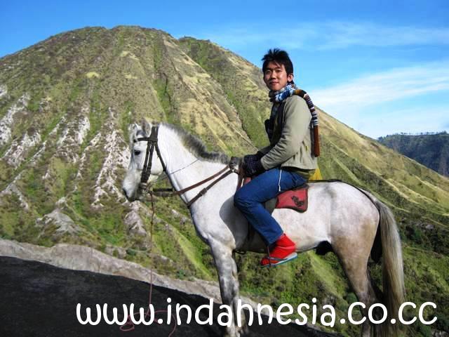 Indahnya Indonesia: Naik Kuda Ke Puncak Bromo