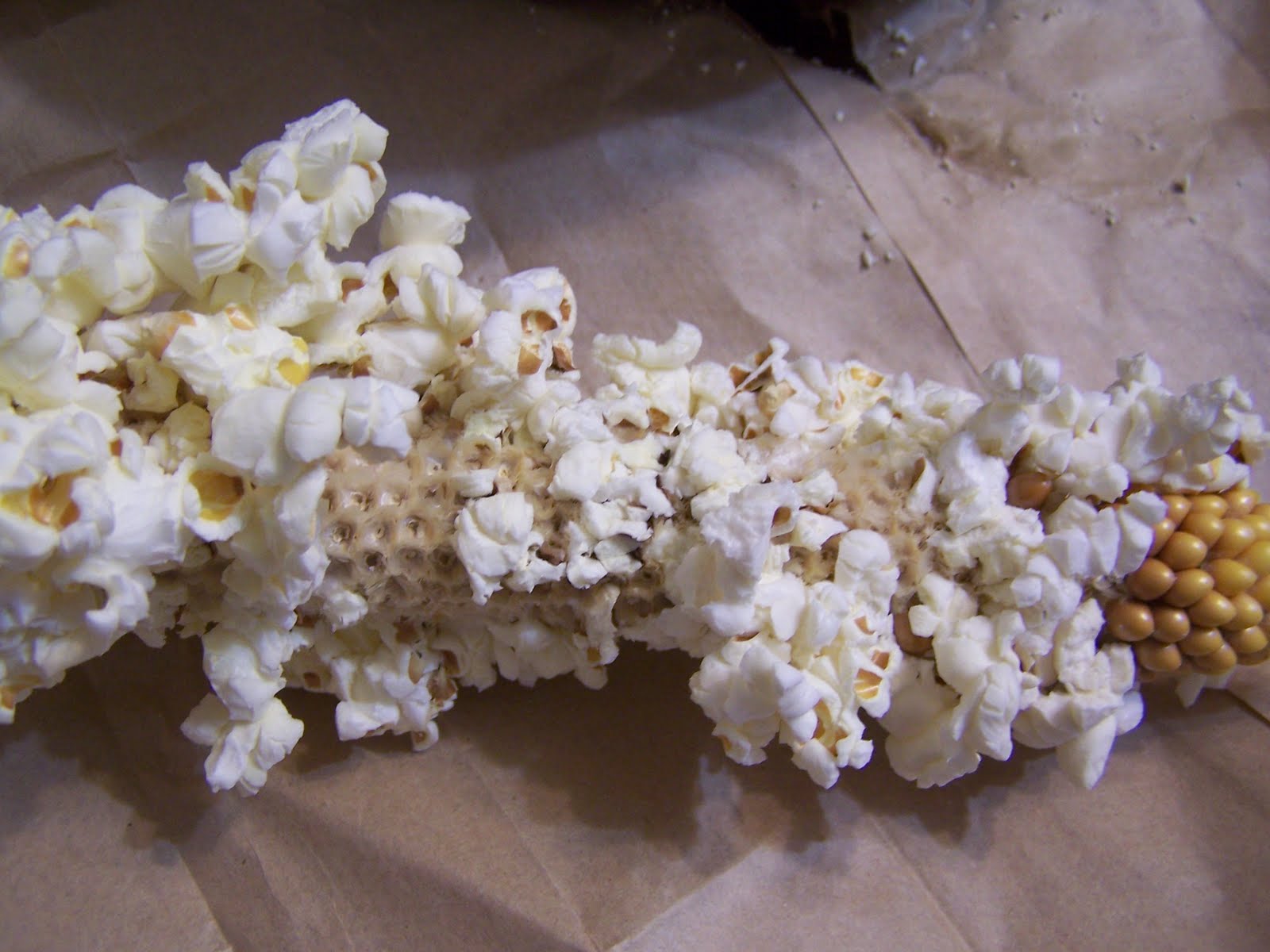 I Started Out As A Child: Parable of the Popcorn and Harvest Moon