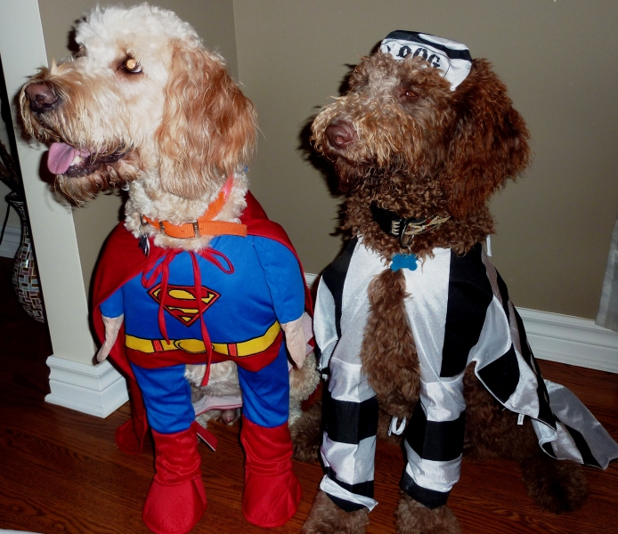 {partners in crime}: Howl-O-Ween Doodle Costumes!