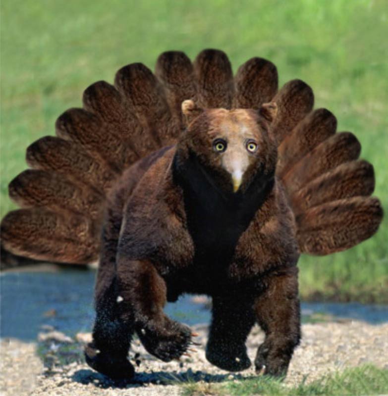 The Savage AfterWorld: Savage Menagerie: Ursine Gobbler