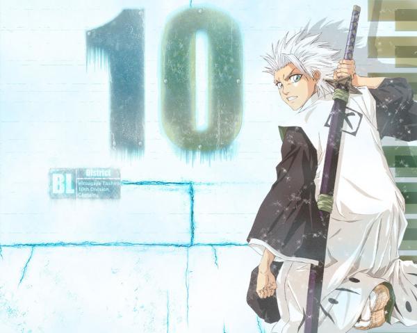 bleach-holic: 10th Captain