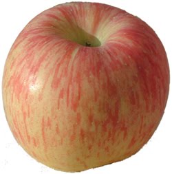 danau kasih: fuji apple