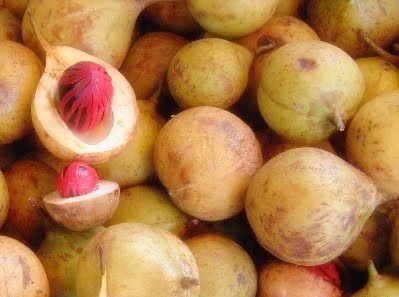 danau kasih: nutmeg / pala