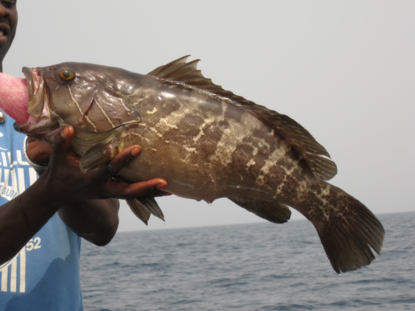 Adventures in Ghana: Offshore Fishing (Tema, Ghana)