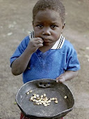 Extrema pobreza...Um desafio à ONU: A miséria no Brasil