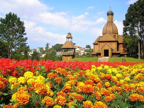 Guia Curitiba Fulltime: Parque Tingui