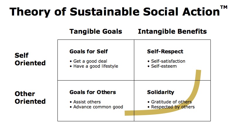 Sustainable Social Action™: Theory of Sustainable Social Action™