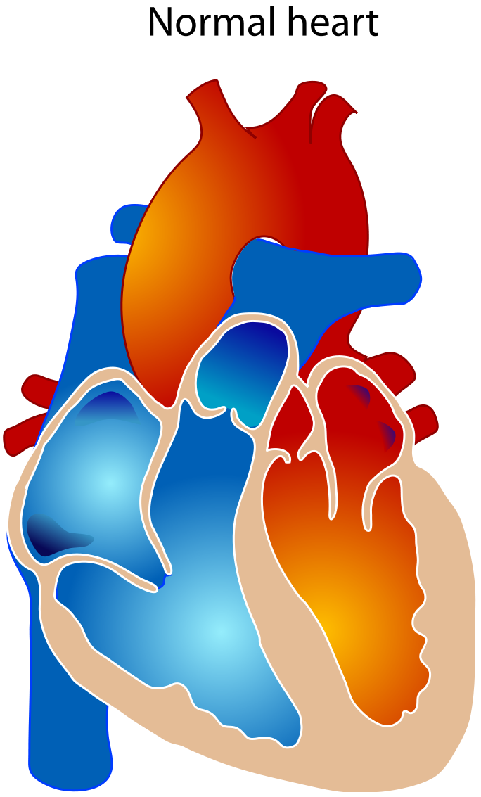 TMC Volume 2, Issue 3 section III: Much Better Than the Owner of a ...