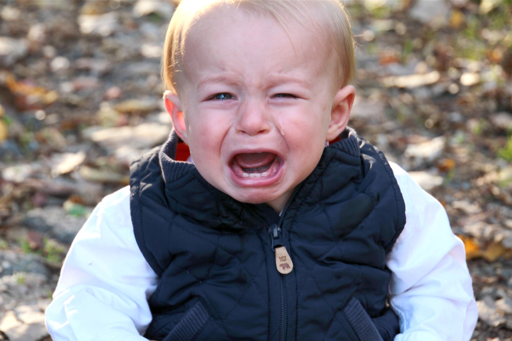 Cameras and Chaos: the best part of being a photographer....