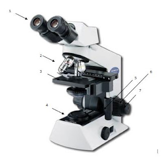 Guía de apoyo de Histología: Microscopios