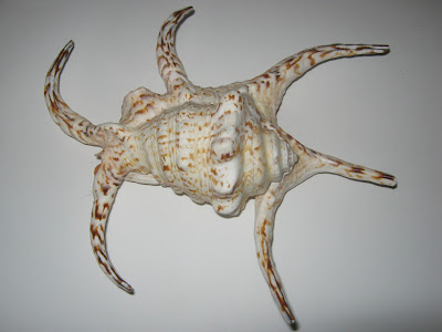 'Key V'...designs...artisan garments and accessories with a touch of ...