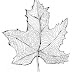 Line Pattern Leaf - Art Projects for Kids