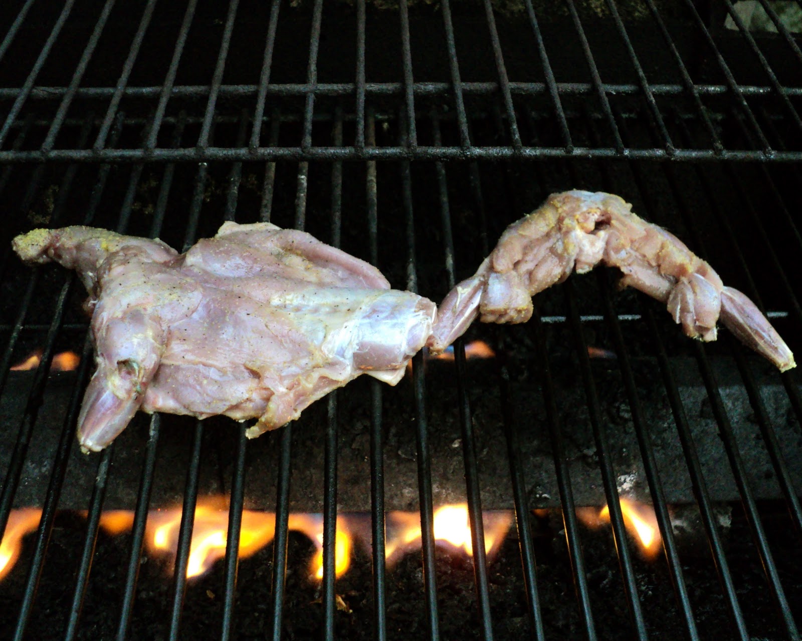 The Maine Outdoorsman: Squirrel! It's Whats For Dinner!