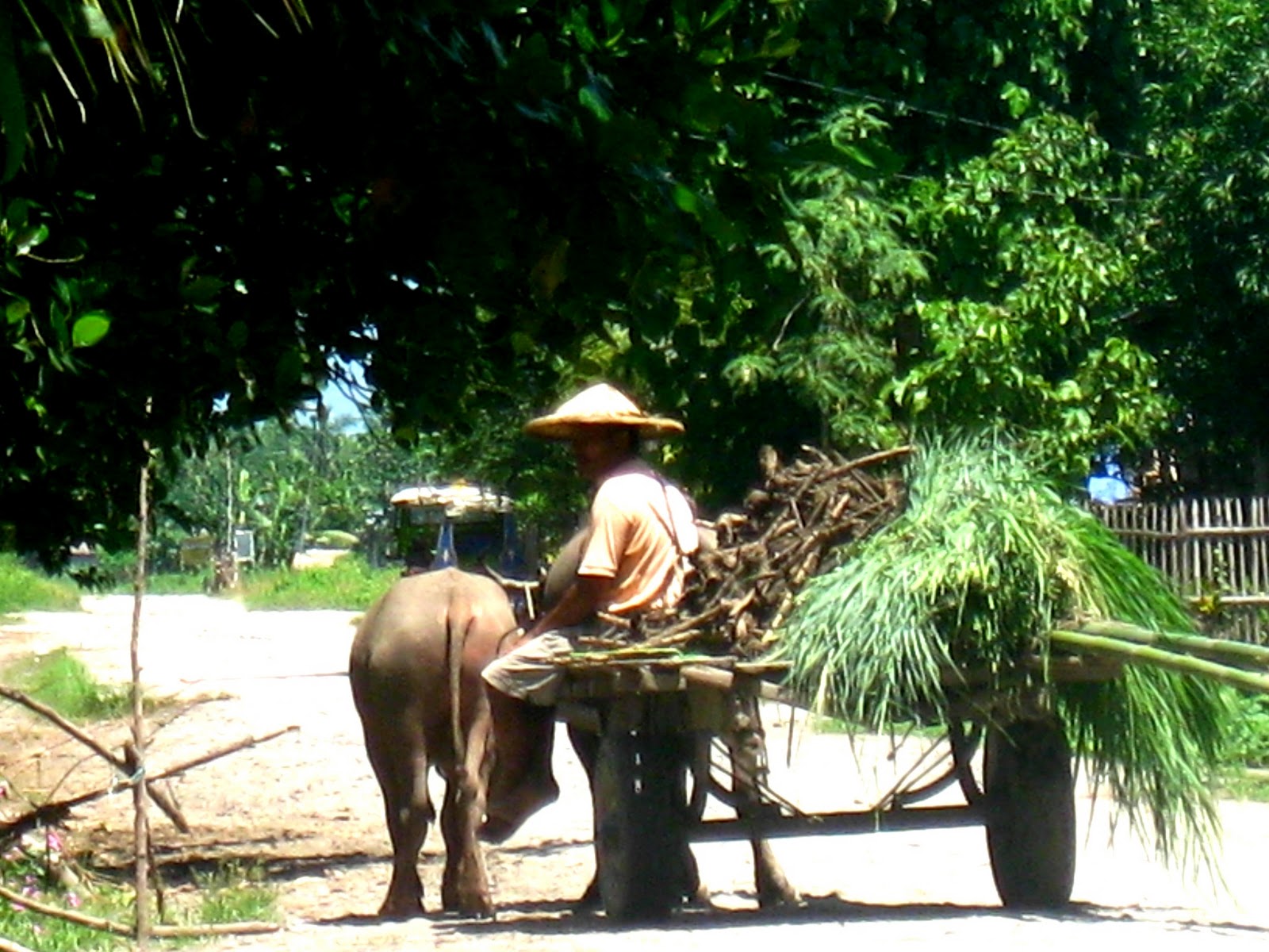 The Walking Tripod: Philippine Farm
