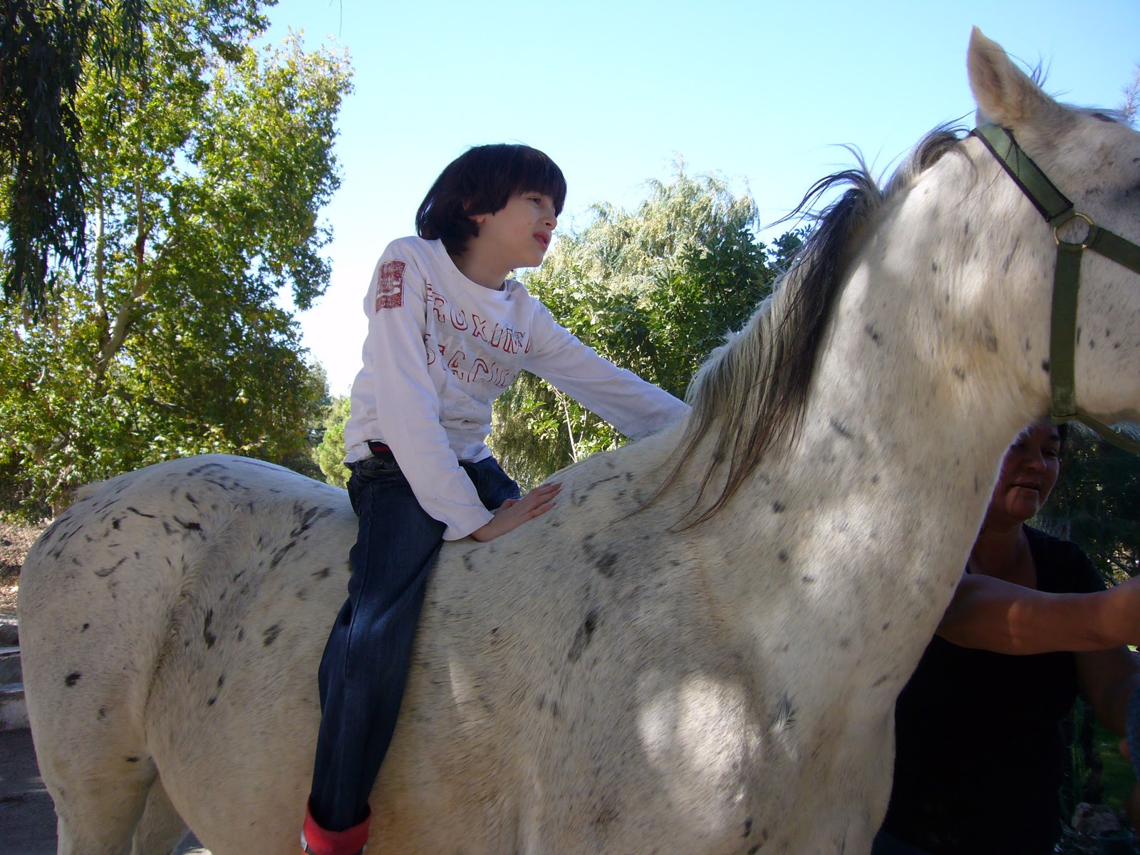 Princess Alia Foundation (PAF): February 2011