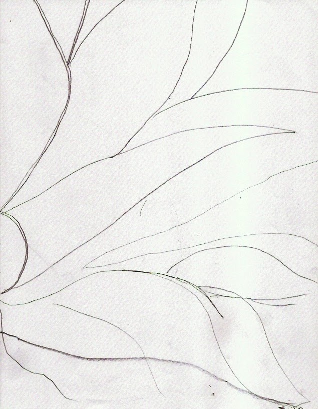 Louden Nelson Sketchers: Weeks 7-10: Form, Contours, Tonal Values ...