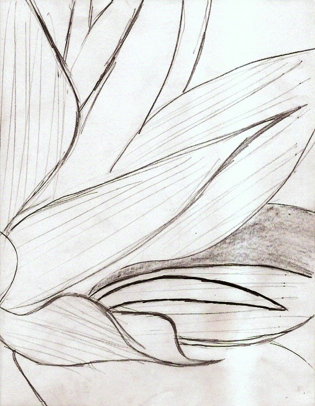 Salinas Sketchers: Weeks 7-10: Form, Contours, Tonal Value, Positive ...