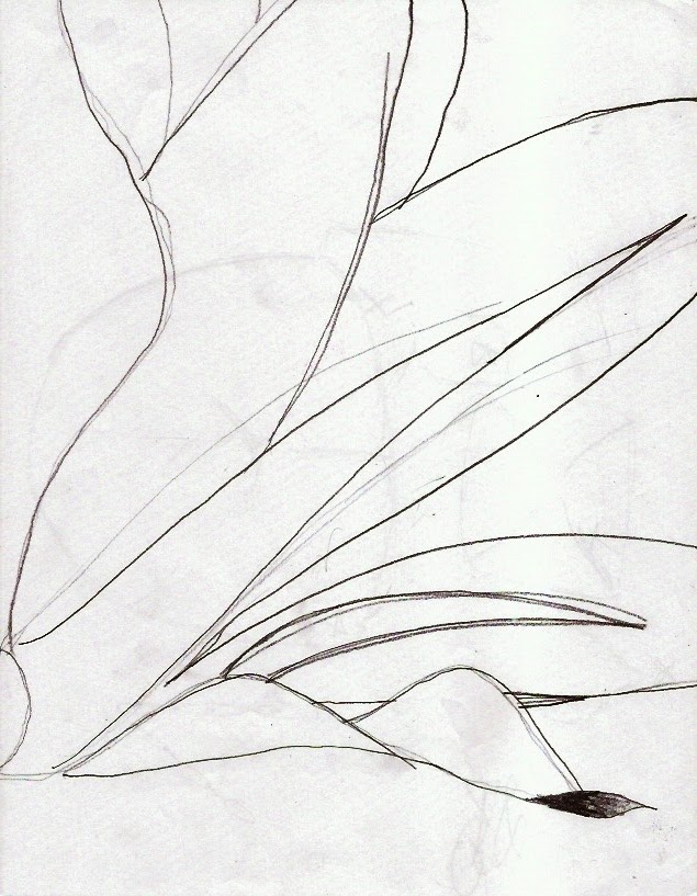 Star Sketchers: Weeks 7-10: Form, Contours, Tonal Values, Positive ...