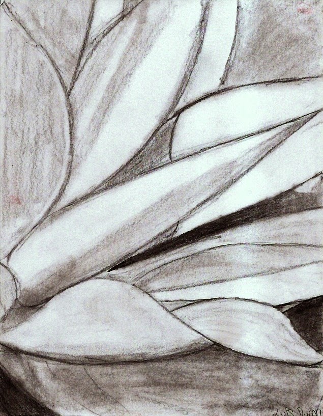 Louden Nelson Sketchers: Weeks 7-10: Form, Contours, Tonal Values ...