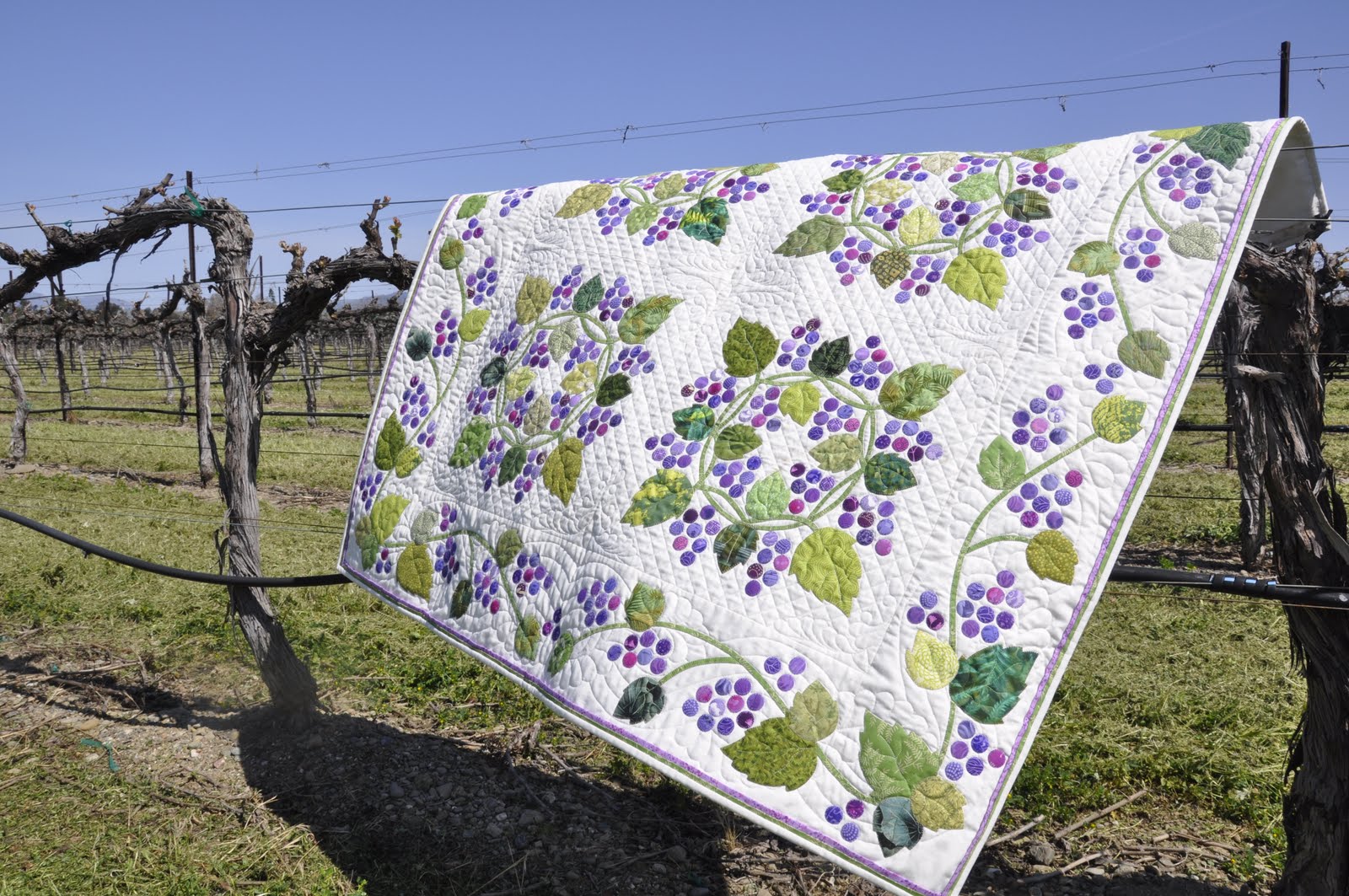 Paula Reid - Machine Quilter: The Grape Escape -- Alex's Beautiful Quilt