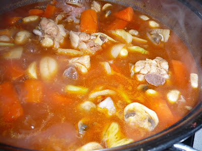 TrucVy-Zoe's Zone: Vietnamese Chicken Ragu