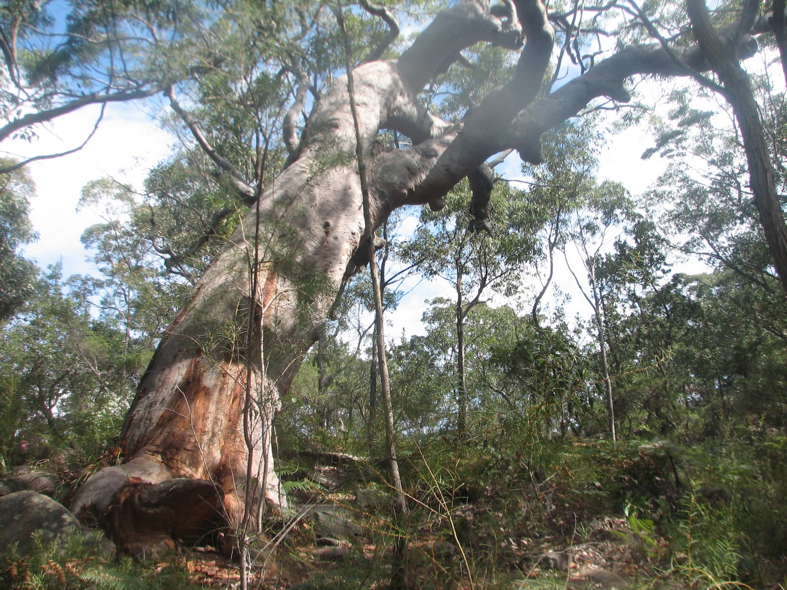 Bambara Road 4 National Park