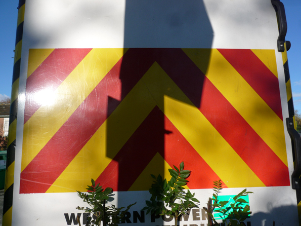 Boldover, Graphic Design: Random Signage