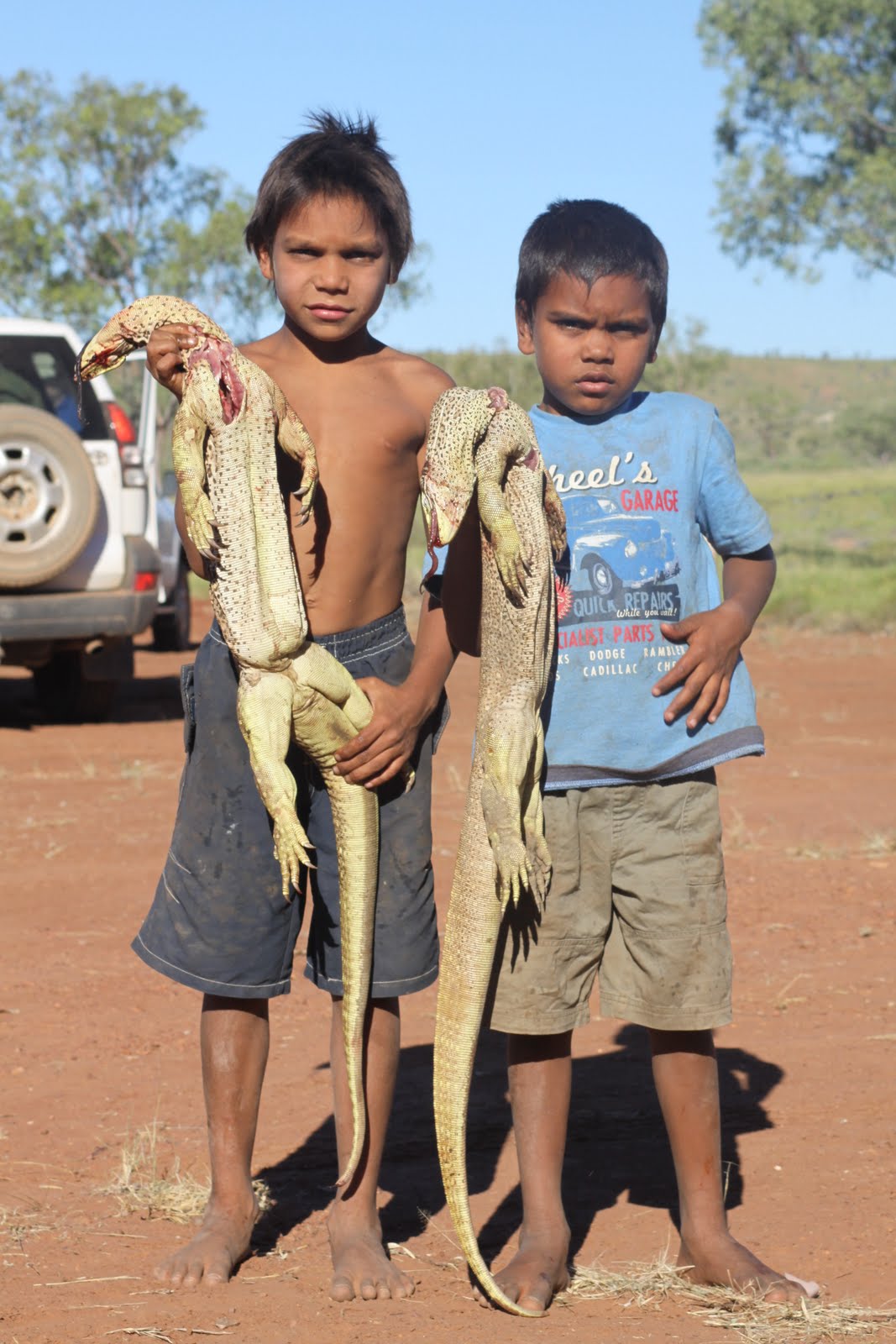 Freshly caught goannas : r/pics