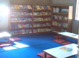 Nepal: Libraries in Nepal