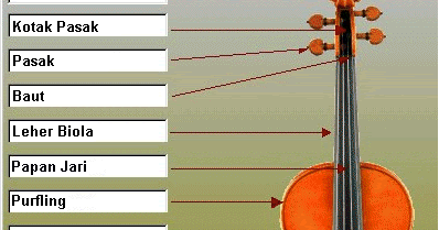 posisi dasar bermain biola - Blog Musik Samuel
