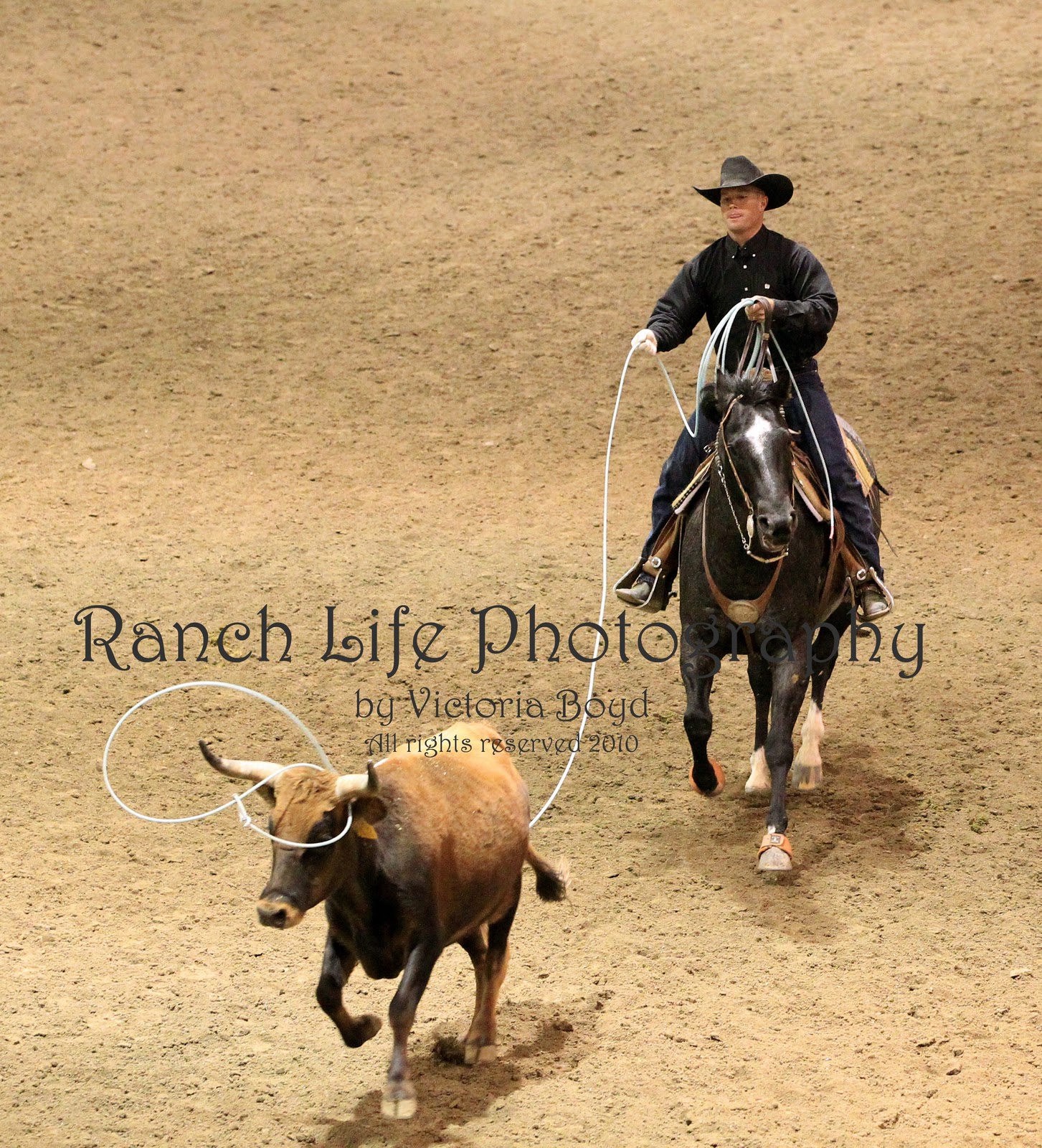 Ranch Life Photography