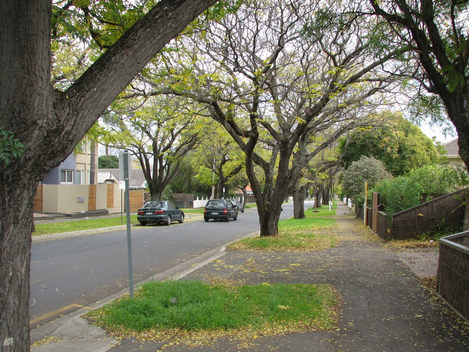 Ray's Retirement: Back streets in Burnside, Adelaide