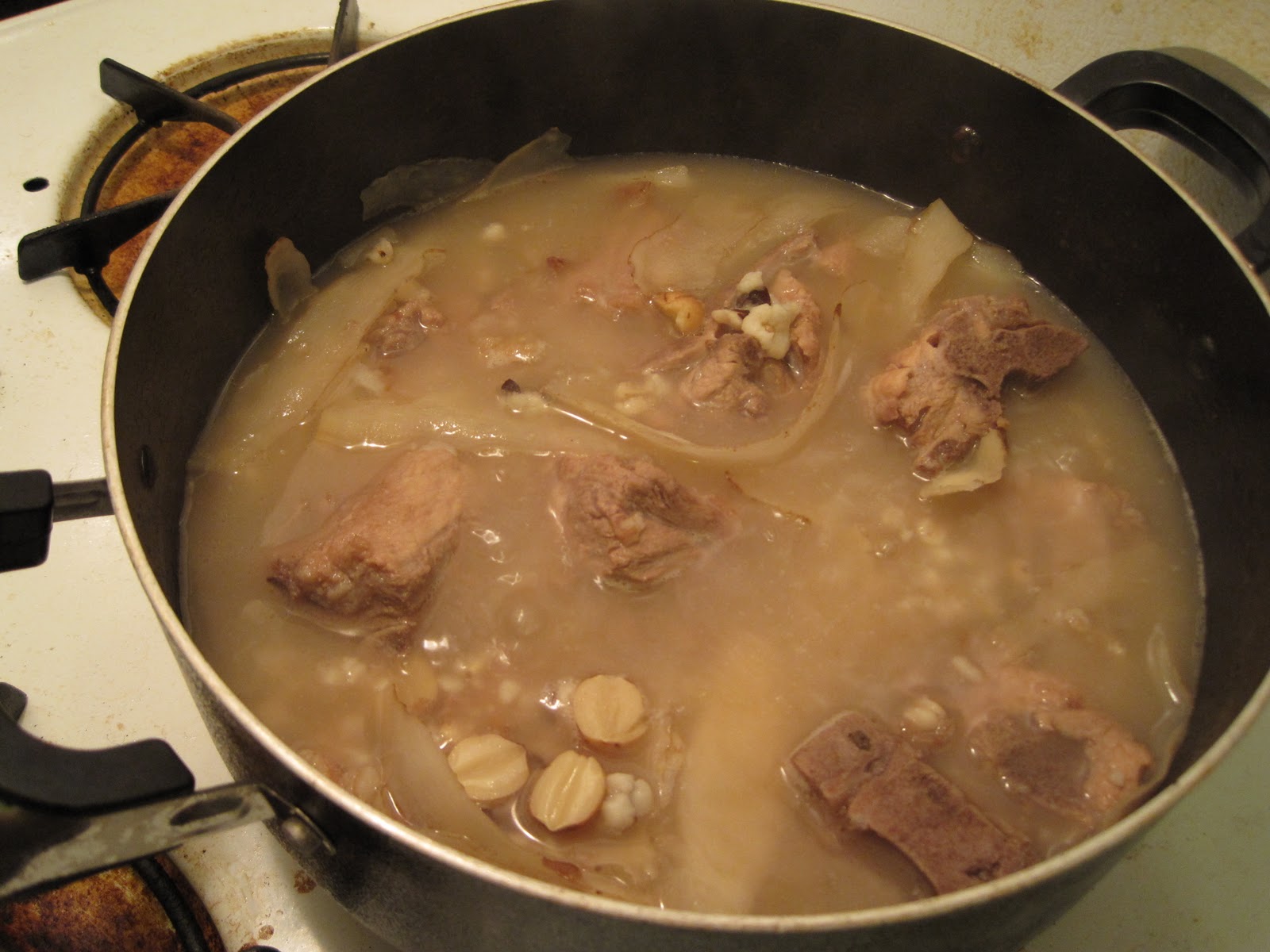 Good Chinese Food in Boston: Homemade Cantonese Soup—Ching Po Leung