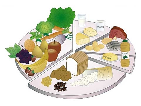 EFA B3 LAV: A RODA ALIMENTAR