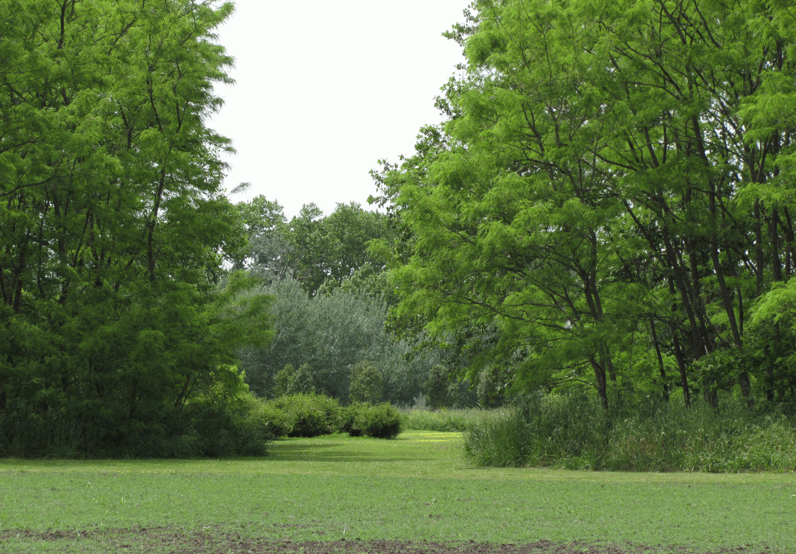 En el jardin: tiempo de recorrer jardines