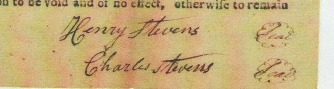 One Southern Stevens Family: Stevens Family Book nearing Publication